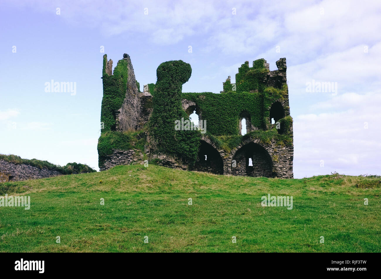 View tower overgrown castle ruin hi-res stock photography and images ...
