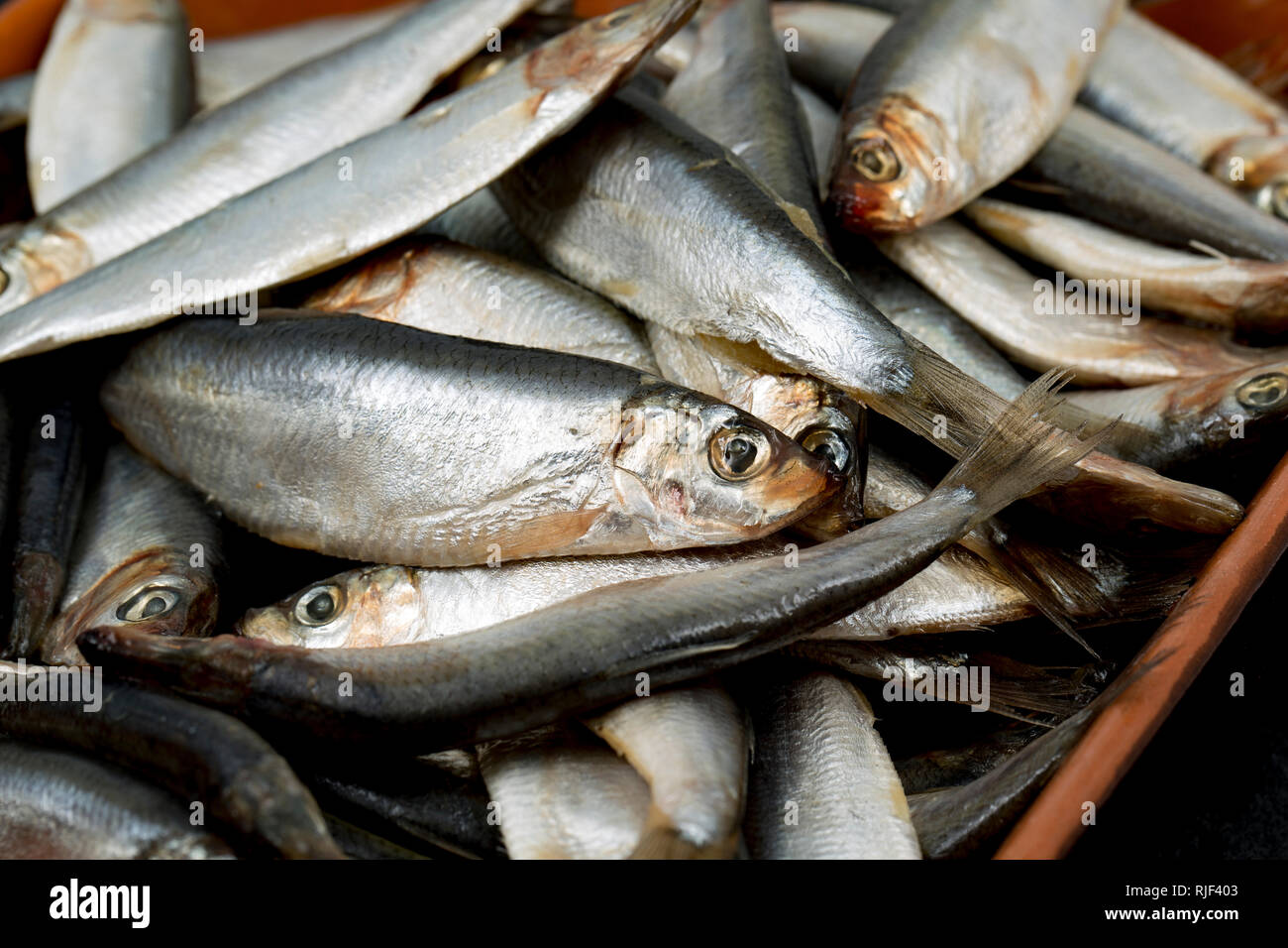 Oily sprat hi-res stock photography and images - Alamy
