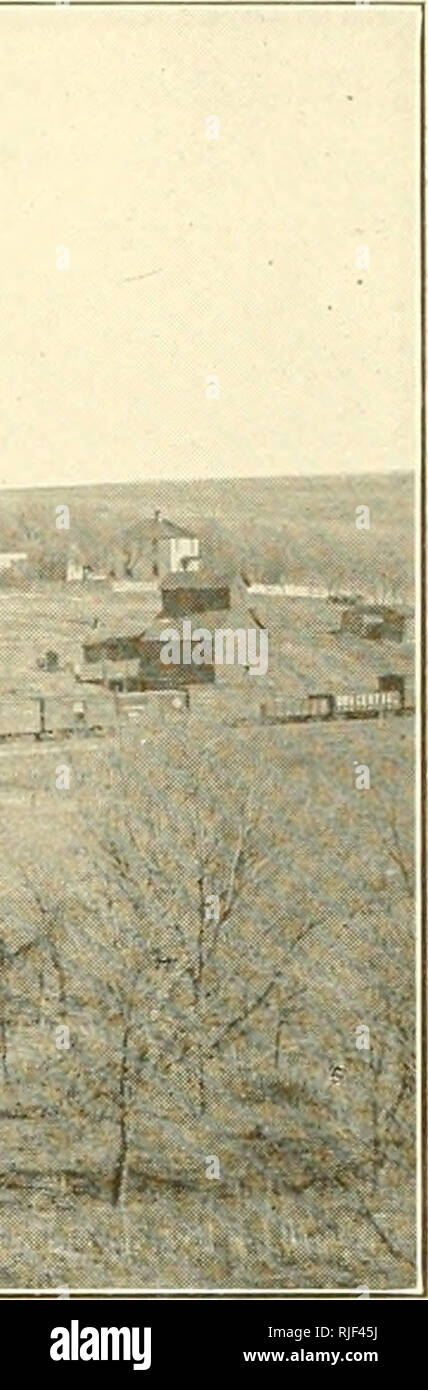 . The Bee-keepers' review. Bee culture. THE BEE-KEEPERS' REVIEW &Ji„ ^1 ...