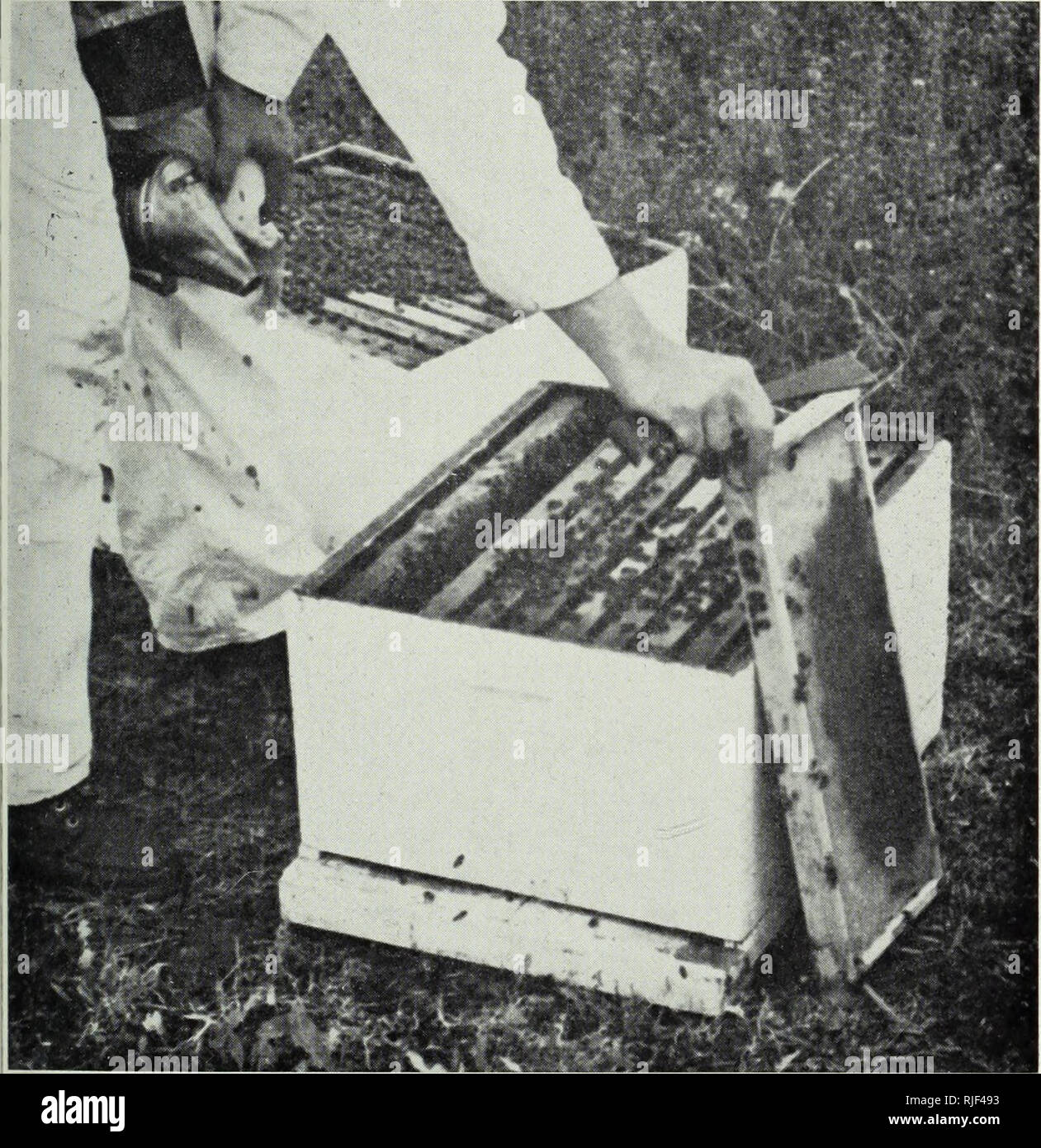 Slowly putting together new equipment hi-res stock photography and ...