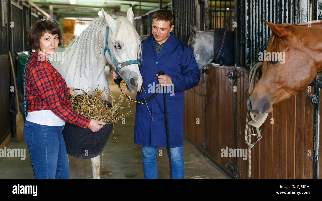 Positive horse farm workers feeding horse with hay at stable Stock ...