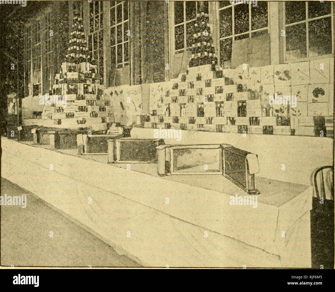 . The Bee-keepers' review. Bee culture. THE BEE^KEEPERS' REVIEW ...