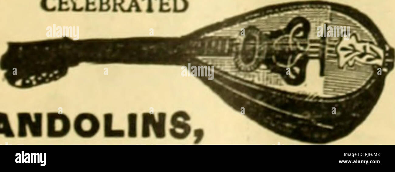 Bell extractor hi-res stock photography and images - Alamy