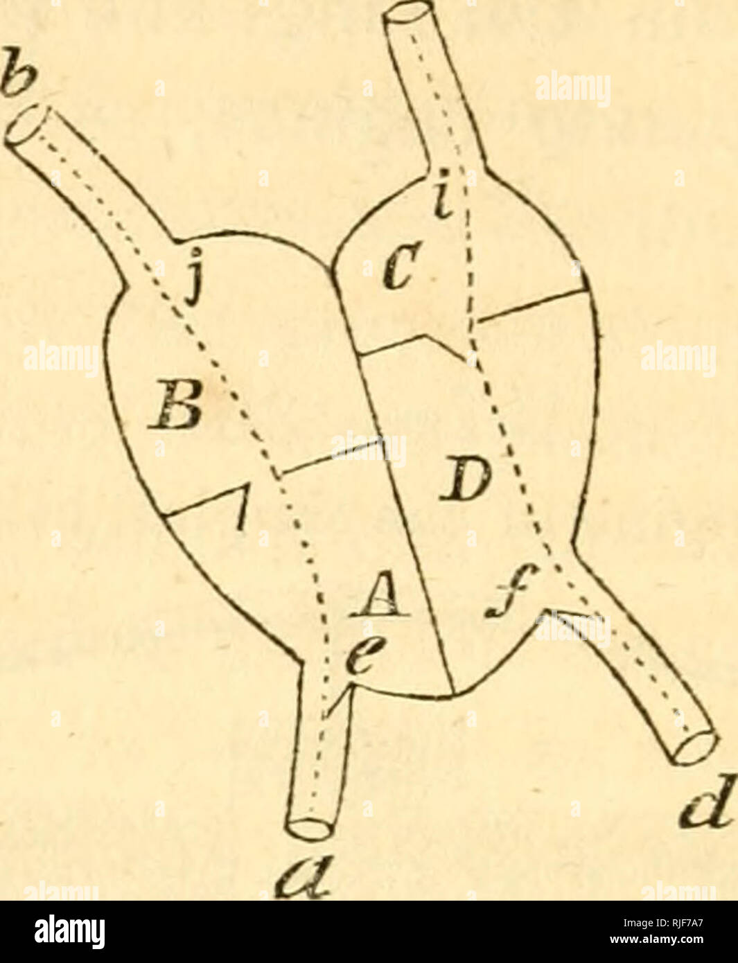 . A catechism of natural theology. Natural theology; Anatomy. 164 ...