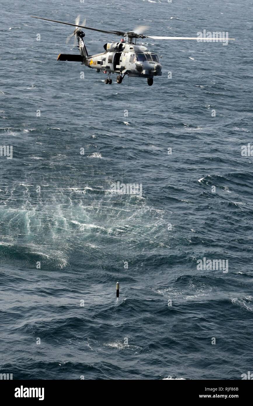 U.S. 5TH FLEET AREA OF RESPONSIBILITY (Feb. 15, 2013) An MH-60R Sea ...