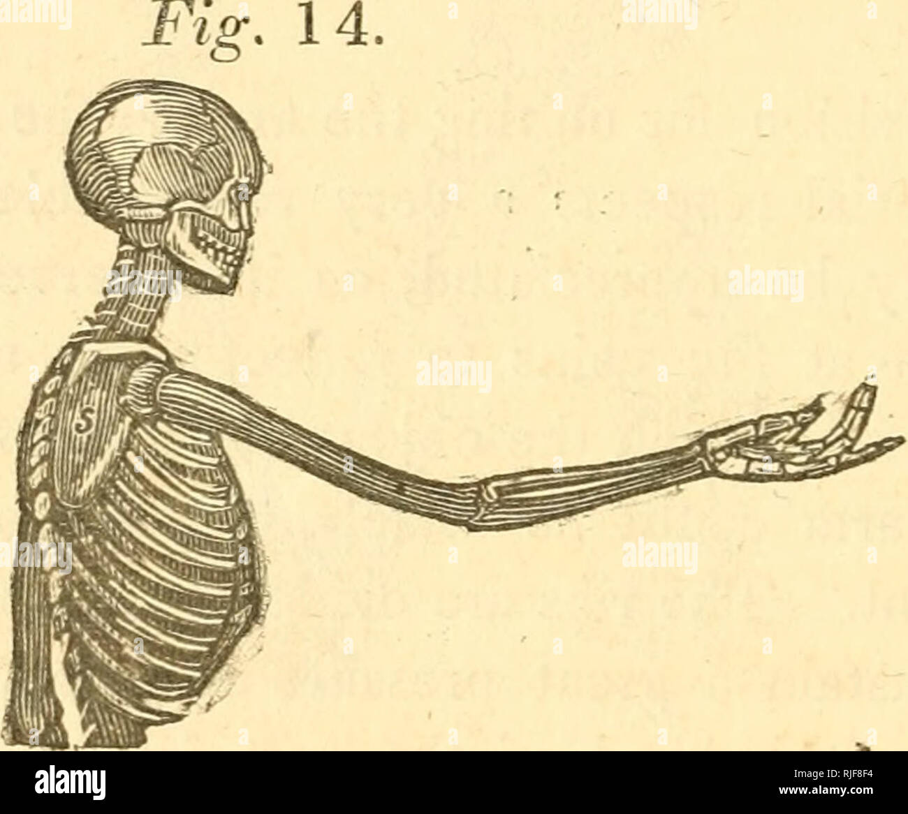 Cleet hi-res stock photography and images - Alamy