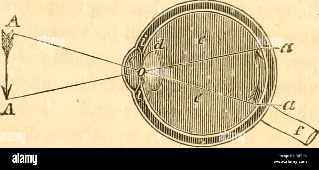 . A catechism of natural theology. Natural theology; Anatomy. 44 EYE. A ...