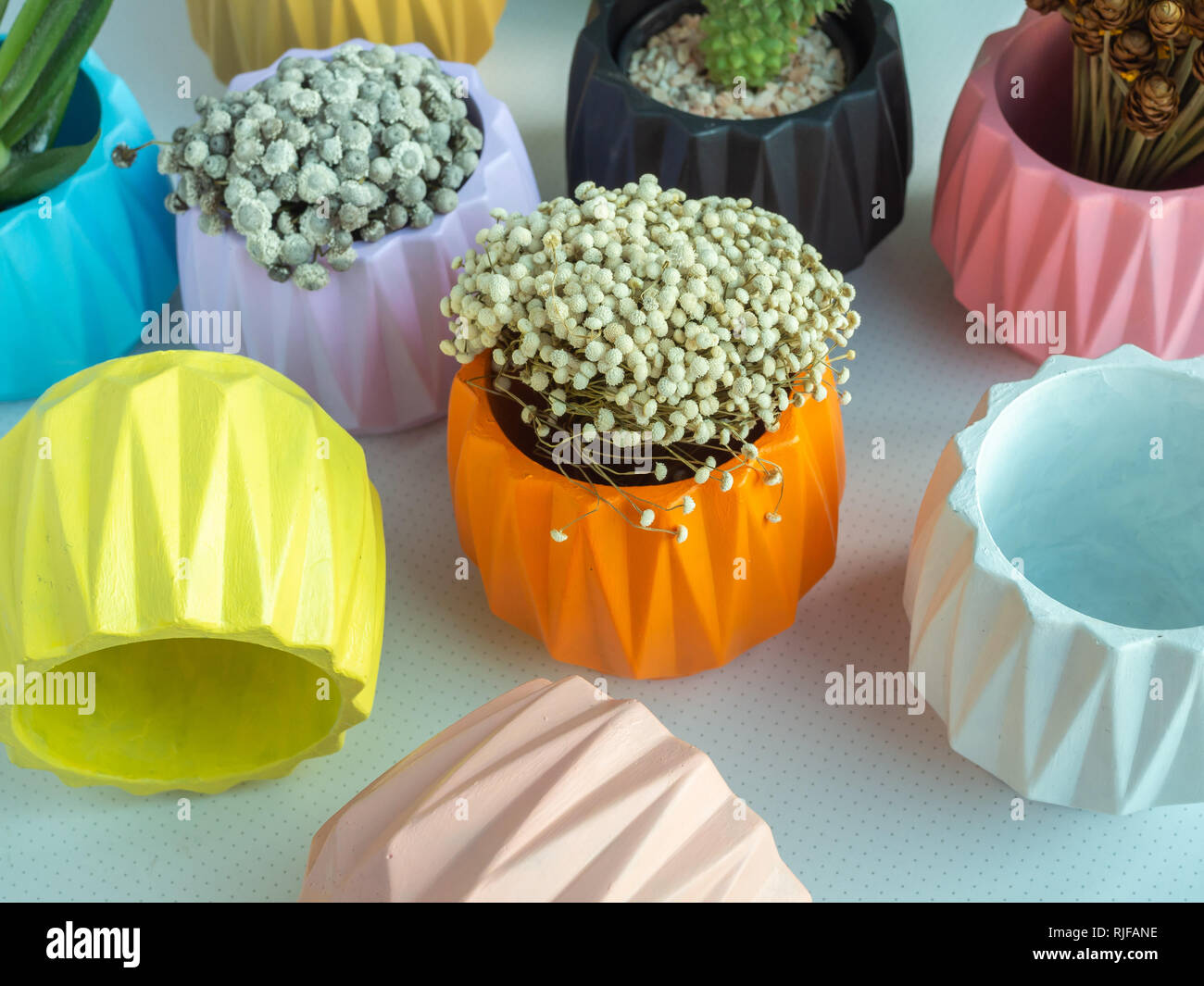 Colorful concrete planters with cactus, flowers and succulent plants ...