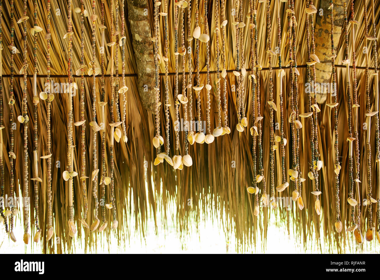 Reed water park colombia hi-res stock photography and images - Alamy