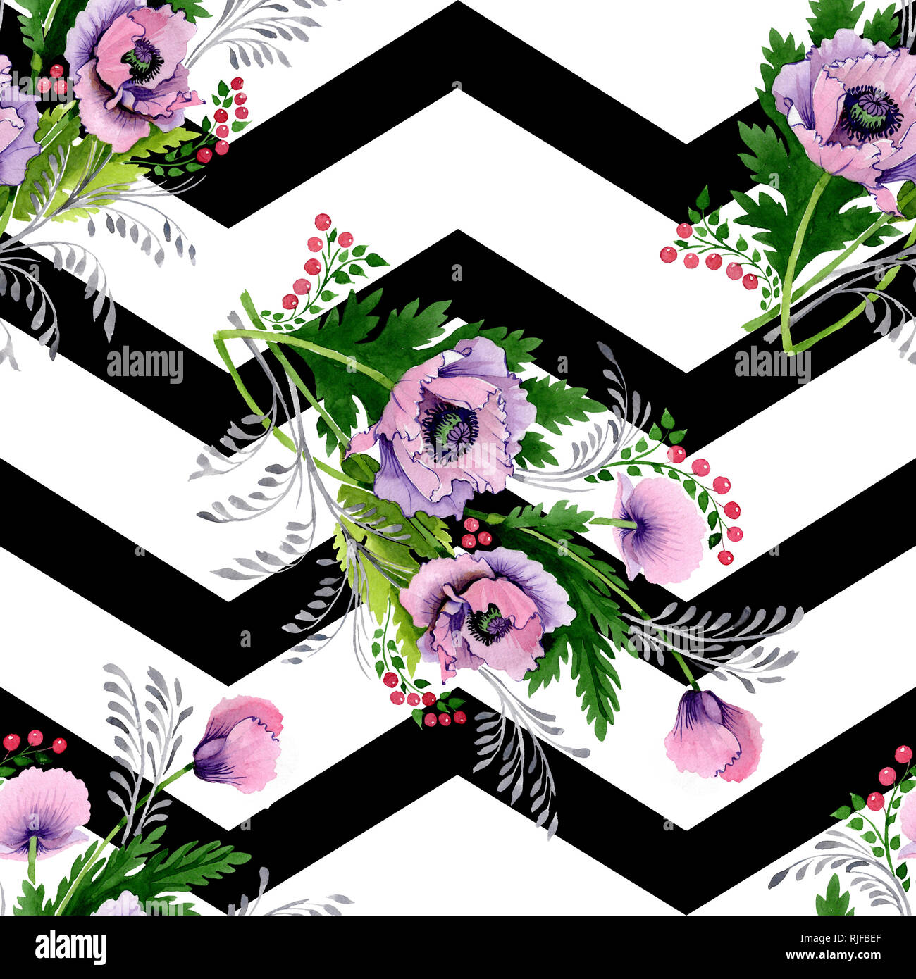 Pink purple poppy botanical flower. Wild spring leaf isolated ...