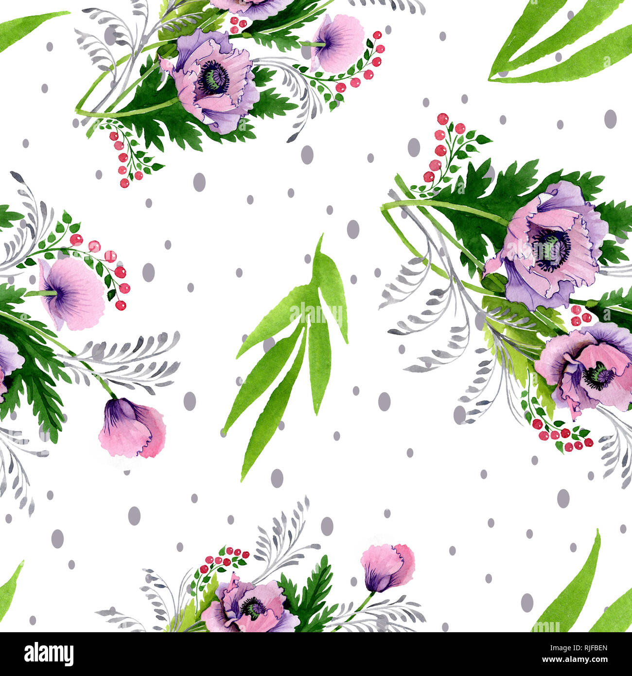 Pink purple poppy botanical flower. Wild spring leaf isolated ...