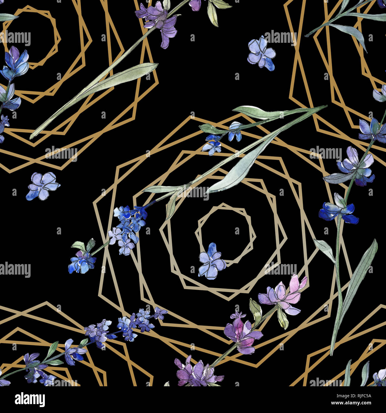 Purple lavender botanical flower. Wild spring leaf wildflower ...