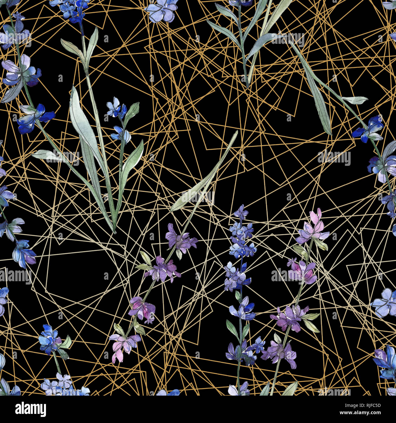 Purple lavender botanical flower. Wild spring leaf wildflower ...