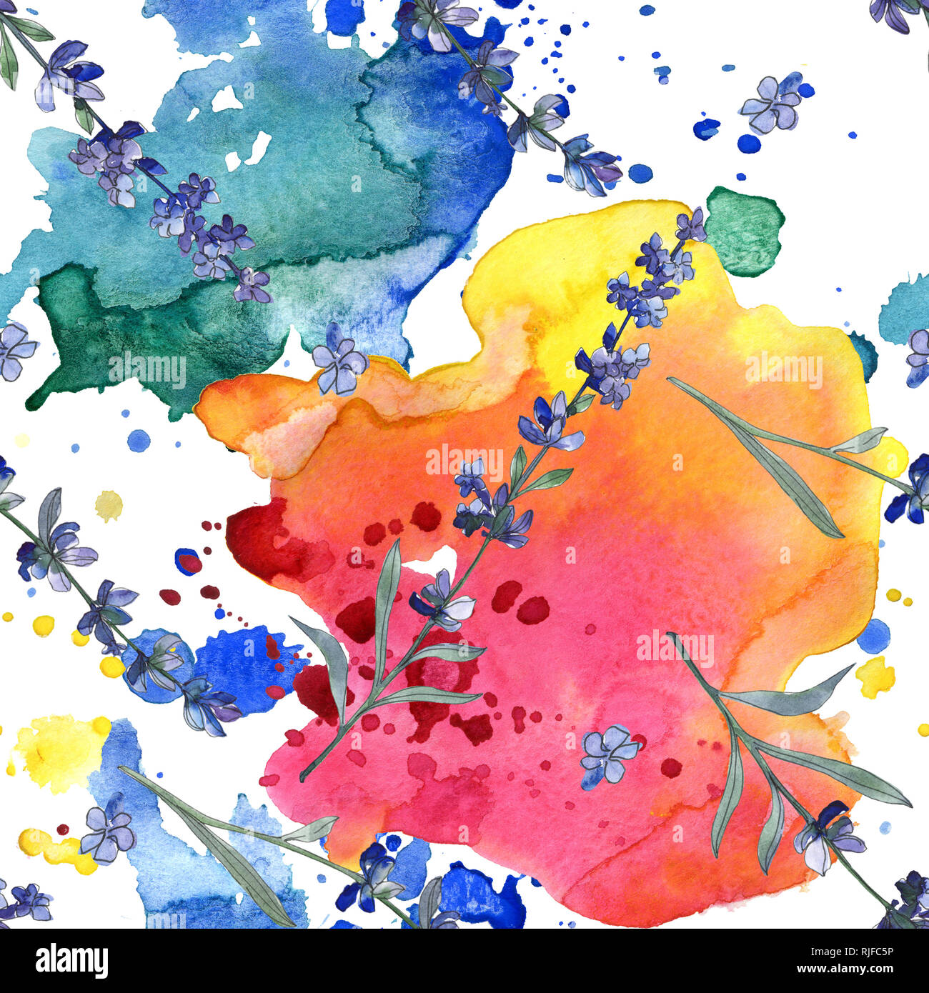 Purple lavender botanical flower. Wild spring leaf wildflower ...