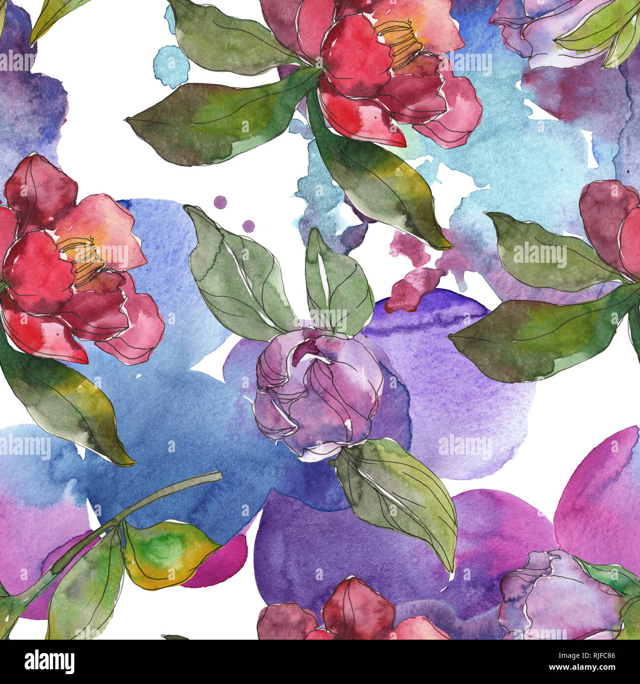 Red and purple camelia botanical flower. Wild spring leaf. Watercolor ...