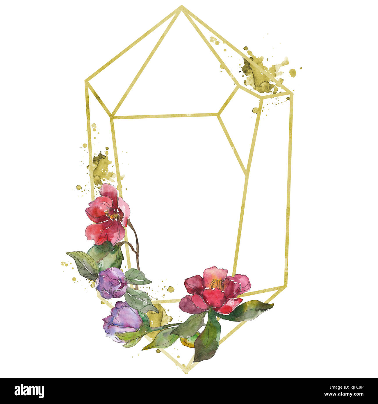 Red and purple camelia floral botanical flower. Wild spring leaf ...