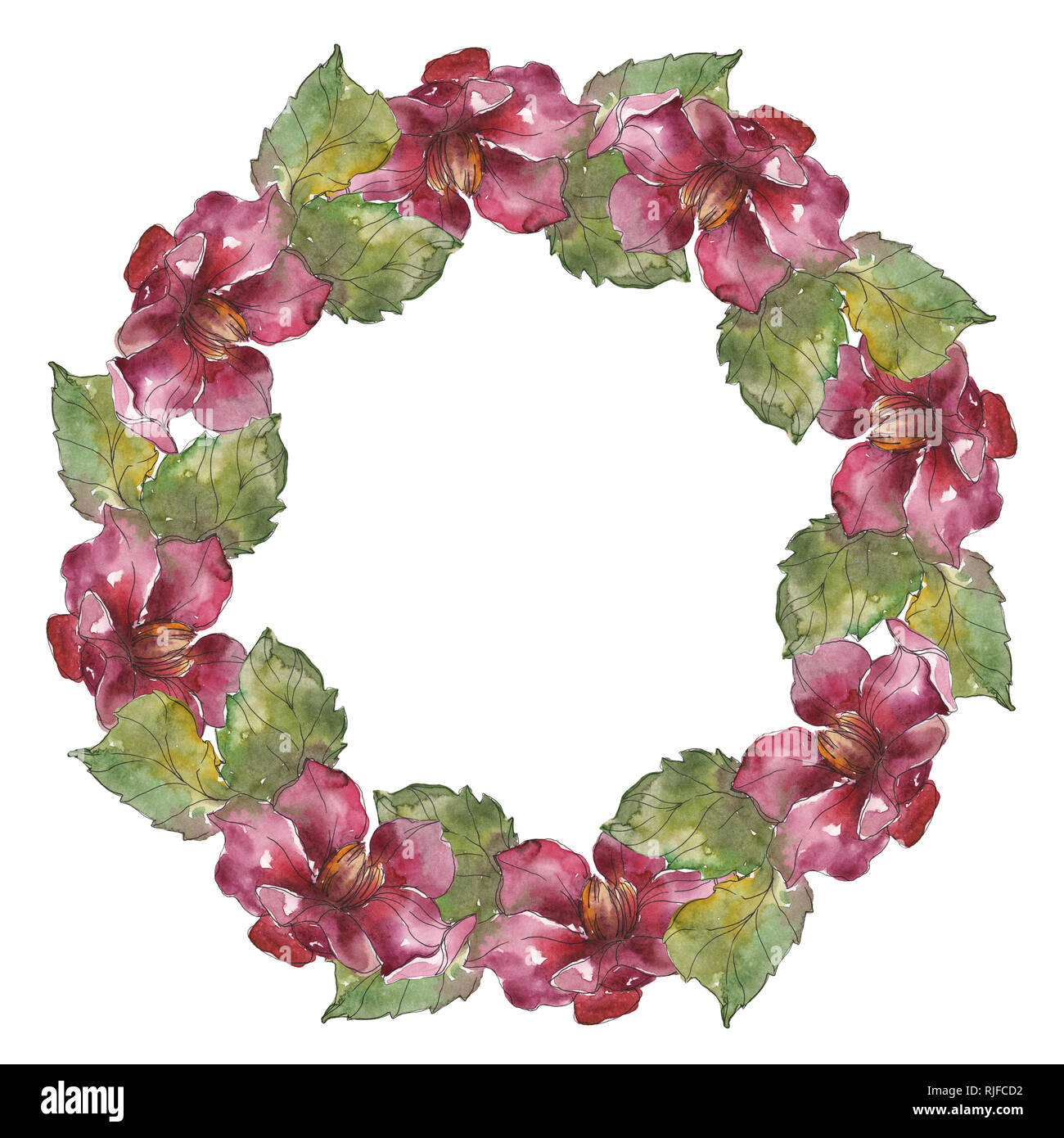 Red camelia floral botanical flower. Wild spring leaf wildflower ...