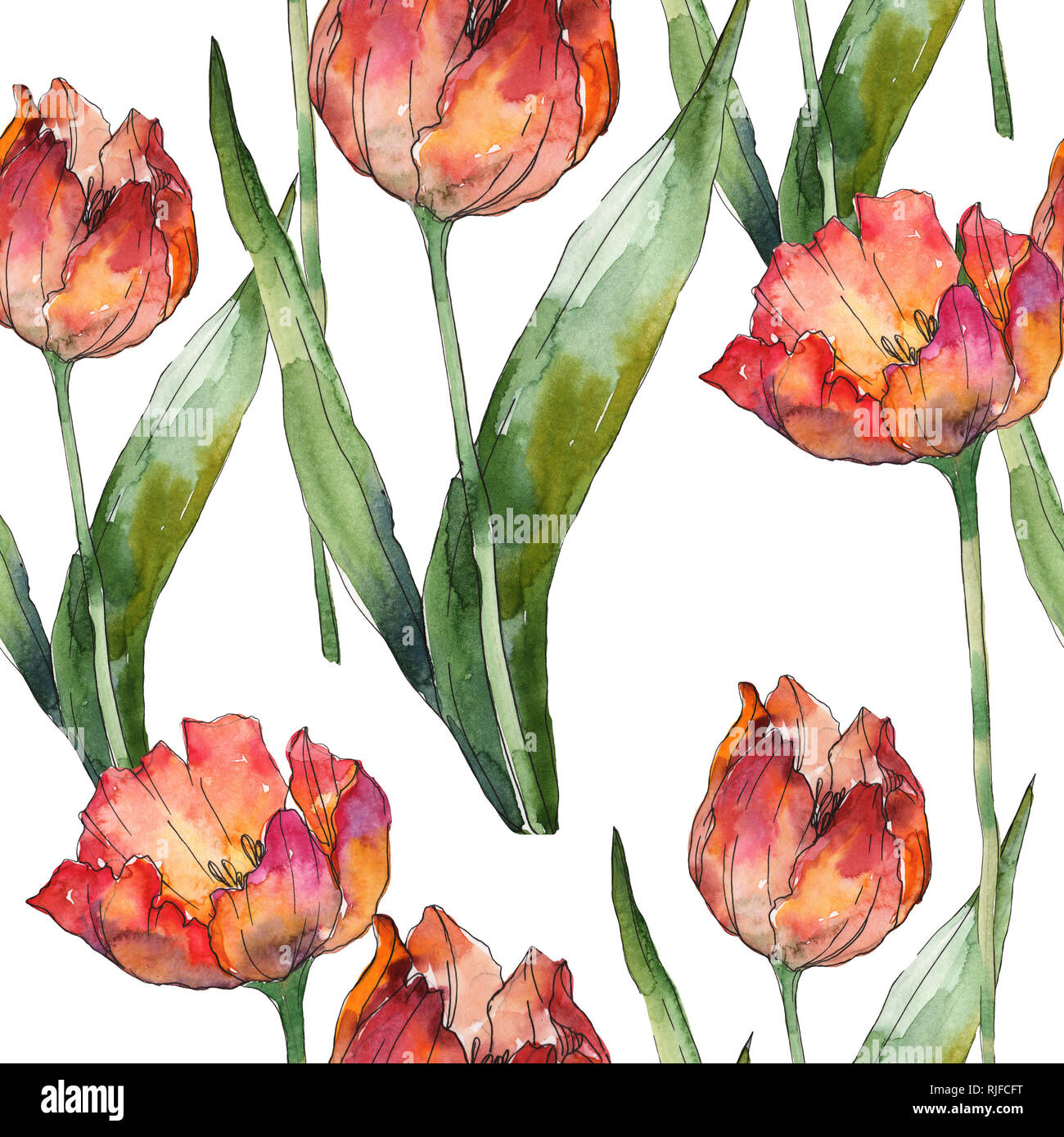 Red tulip botanical flower. Wild spring leaf isolated. Seamless ...