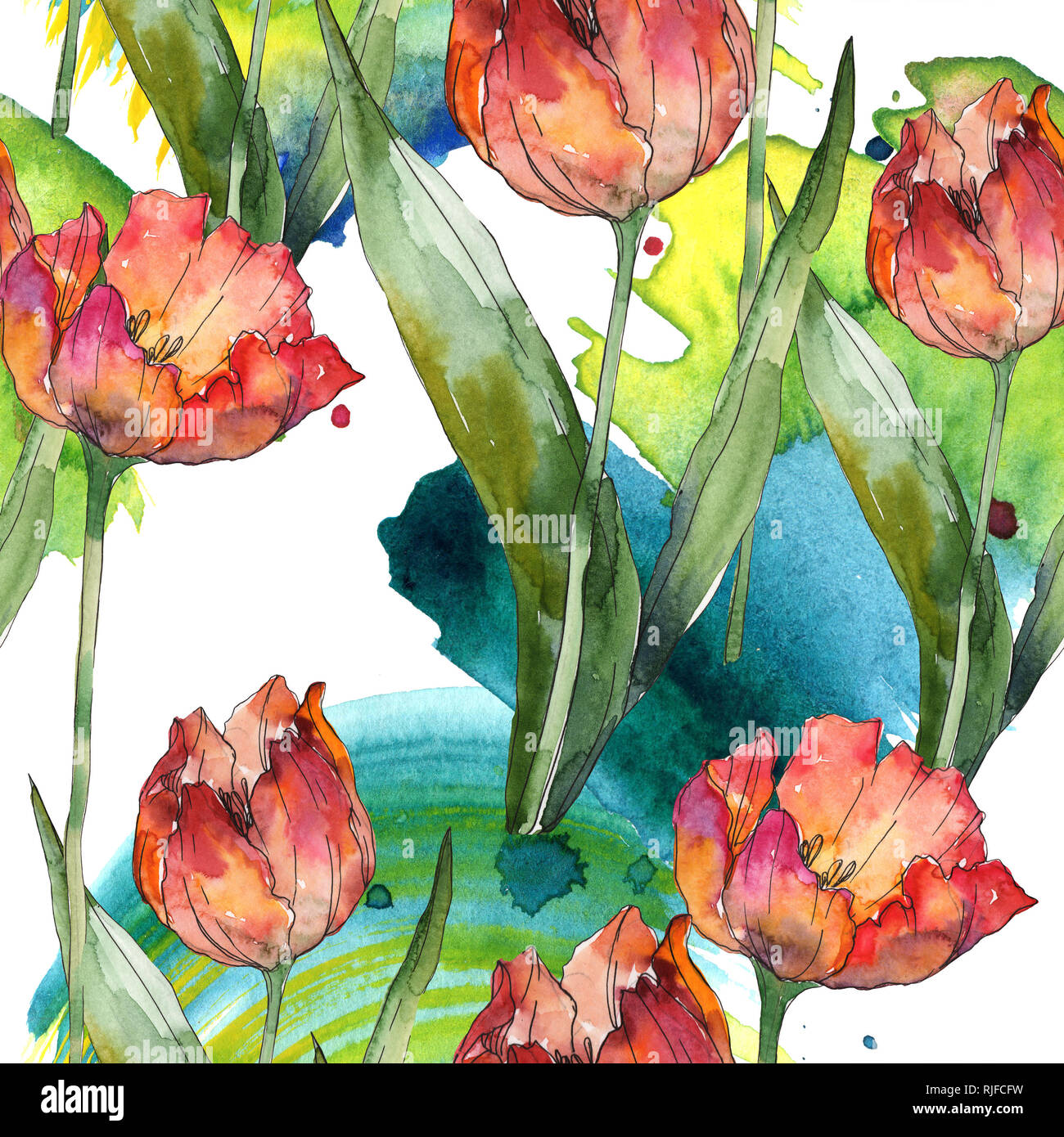 Red tulip botanical flower. Wild spring leaf isolated. Seamless ...