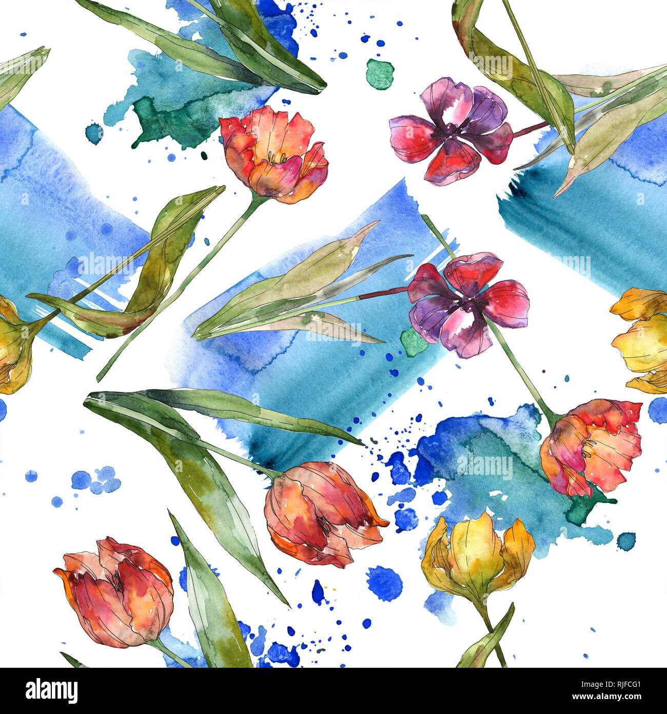 Yellow and red tulip botanical flower. Wild spring leaf isolated ...