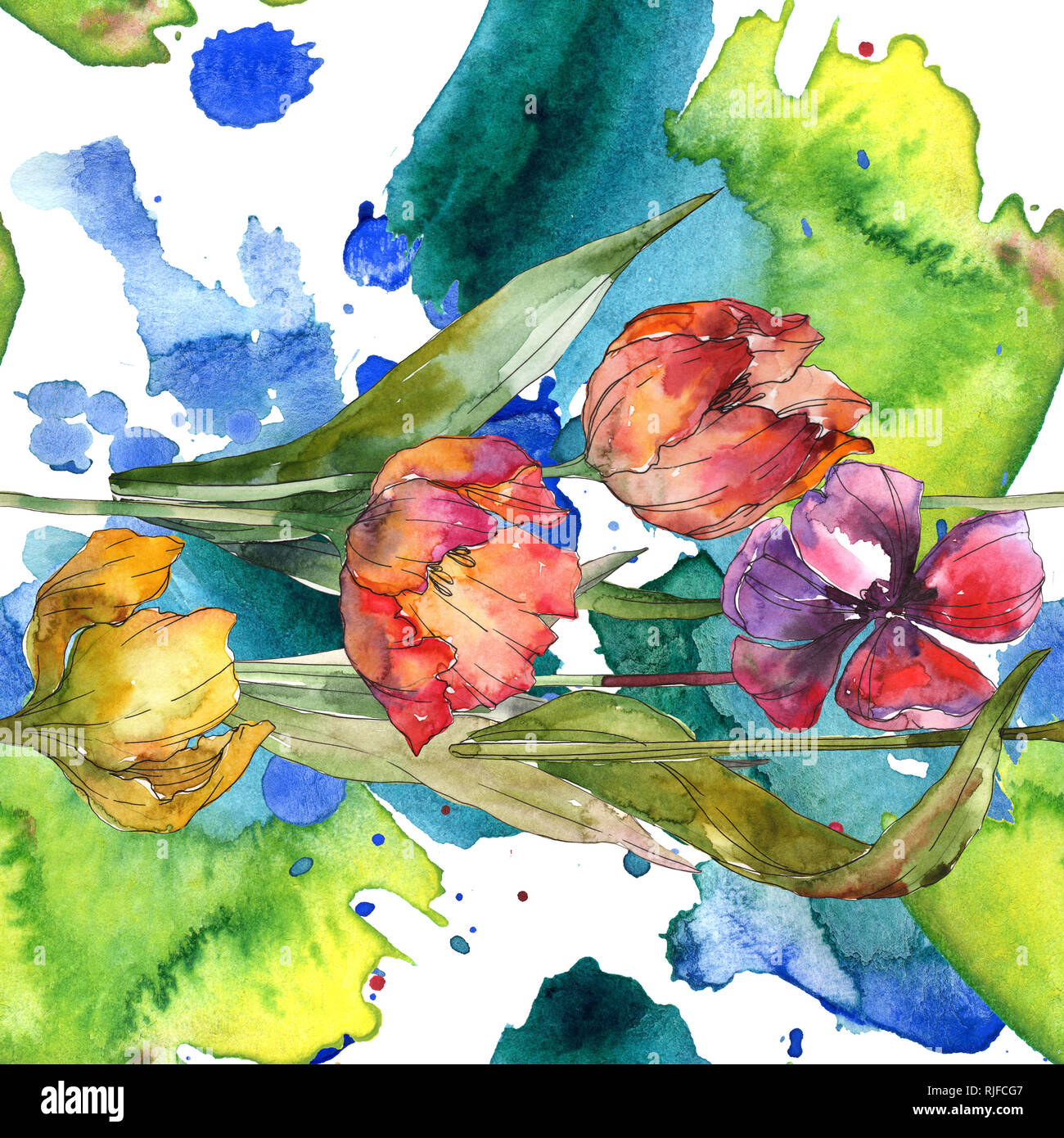 Yellow and red tulip botanical flower. Wild spring leaf isolated ...