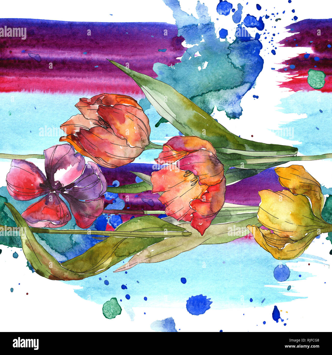 Yellow and red tulip botanical flower. Wild spring leaf isolated ...