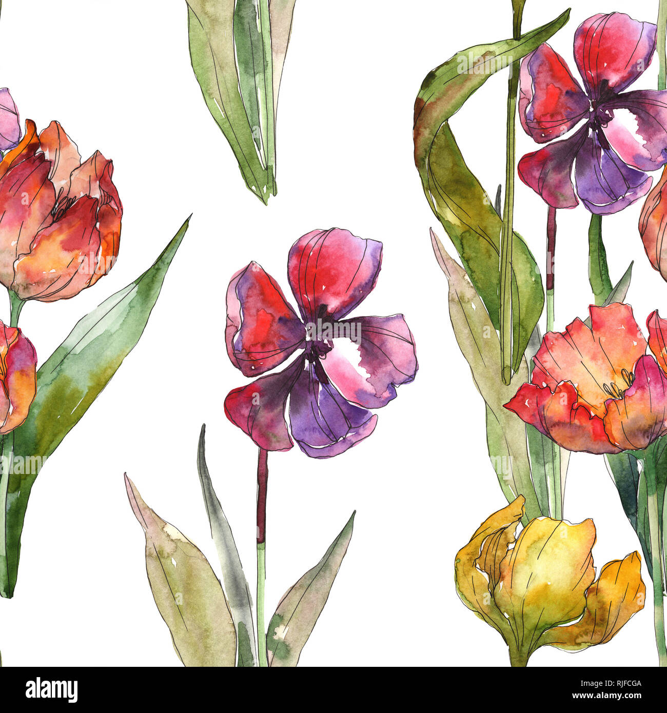 Yellow and red tulip botanical flower. Wild spring leaf isolated ...
