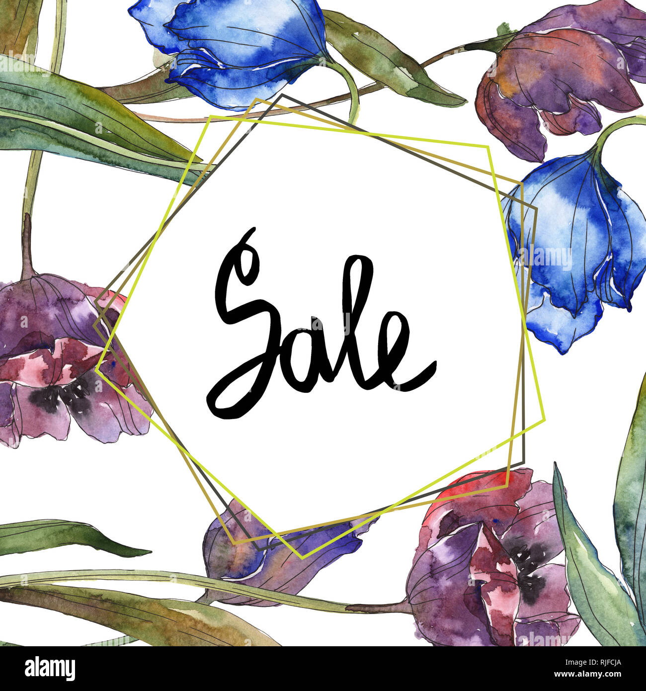 Purple and blue tulip floral botanical flower. Wild spring leaf ...