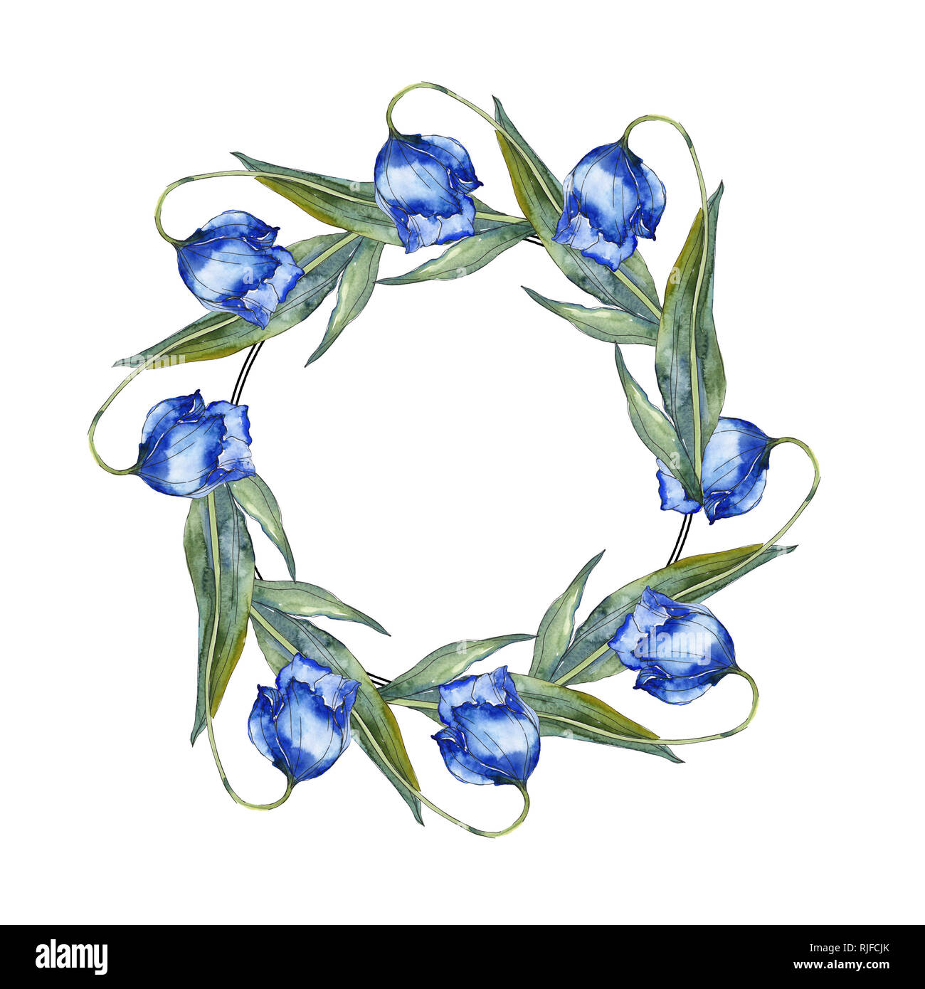 Blue Tulips Drawing