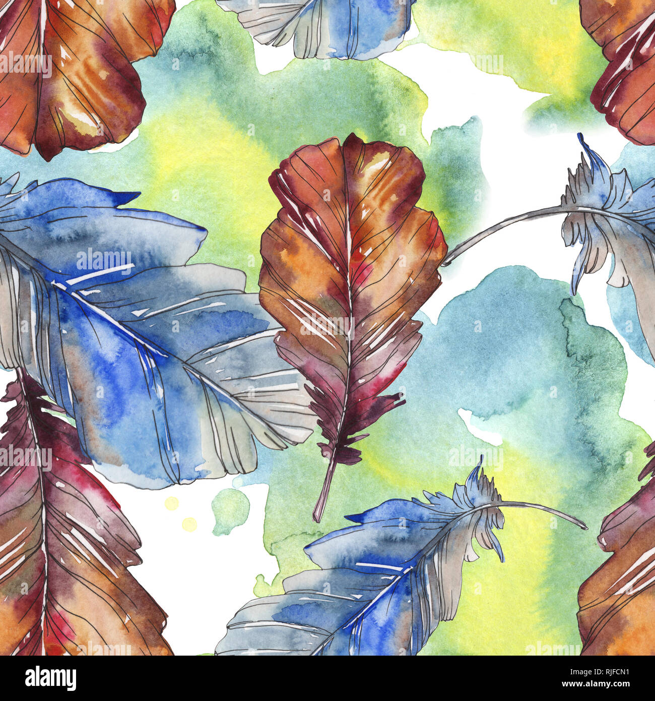 Bird feather from wing isolated. Watercolor background illustration set ...