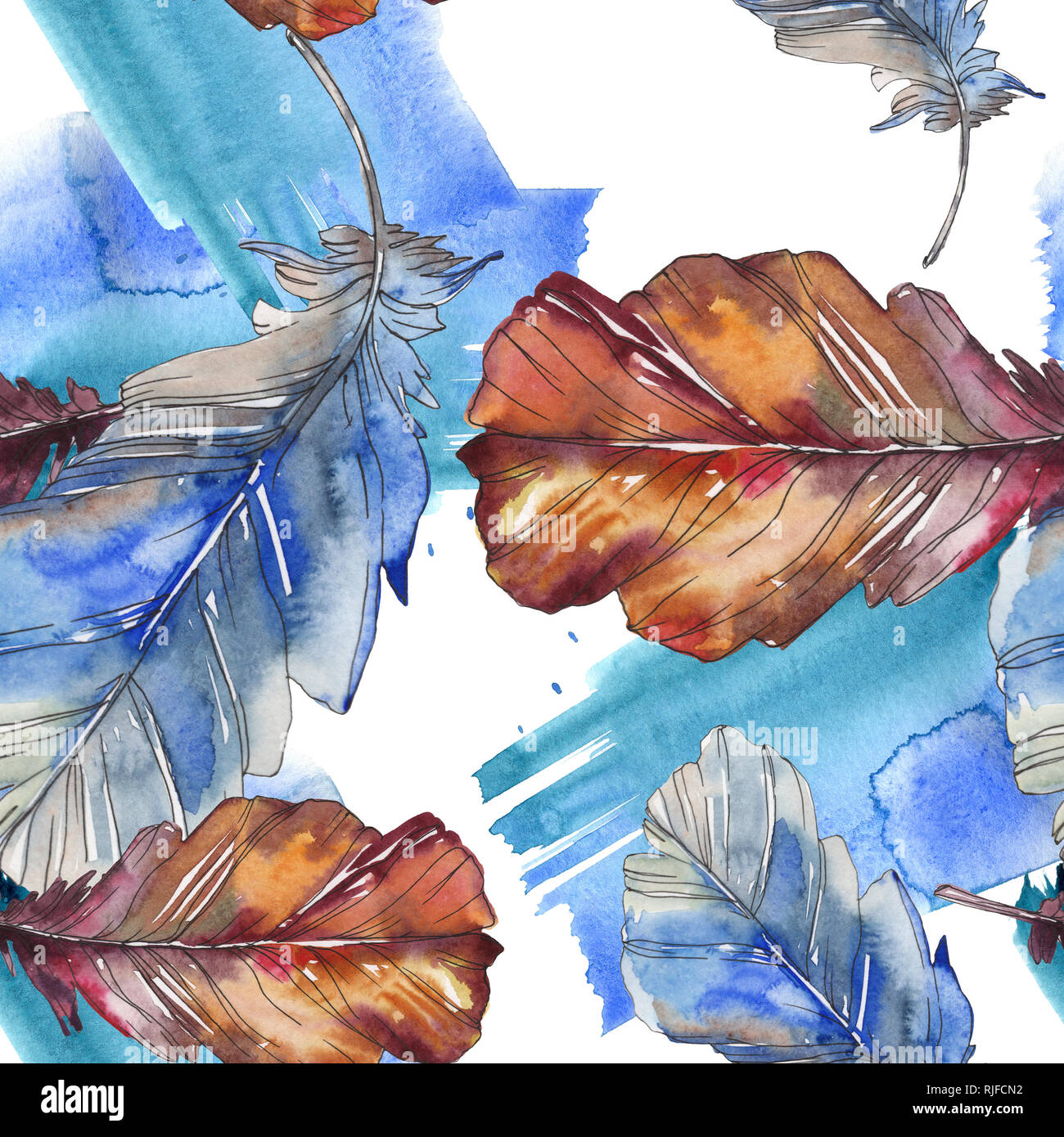 Bird feather from wing isolated. Watercolor background illustration set ...