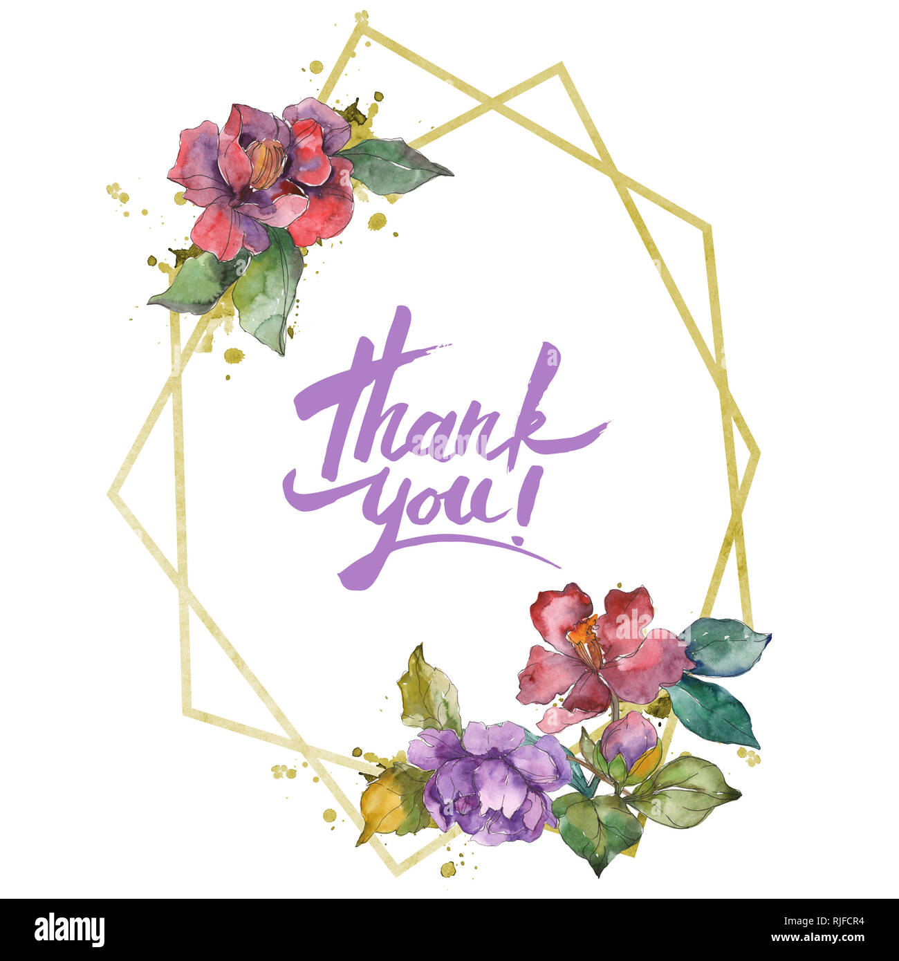 Red purple camelia floral botanical flower. Wild spring leaf wildflower ...