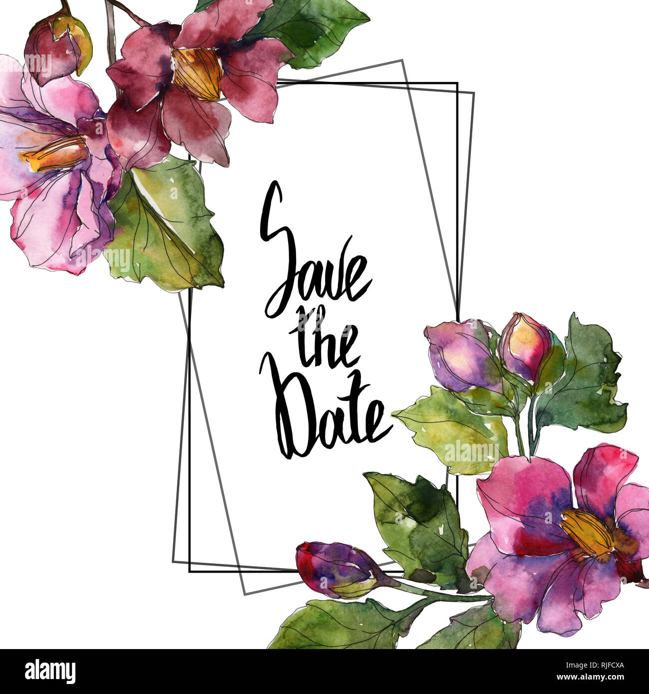 Red purple camelia floral botanical flower. Wild spring leaf wildflower ...