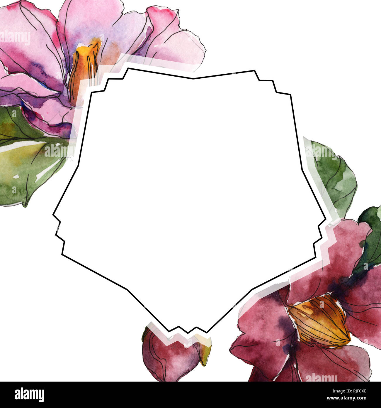 Red purple camelia floral botanical flower. Wild spring leaf wildflower ...