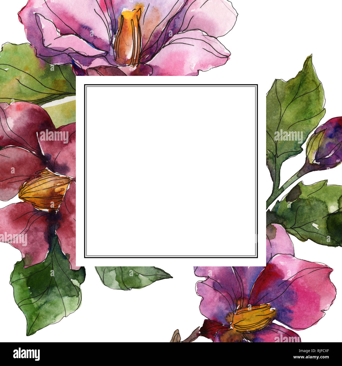 Red purple camelia floral botanical flower. Wild spring leaf wildflower ...