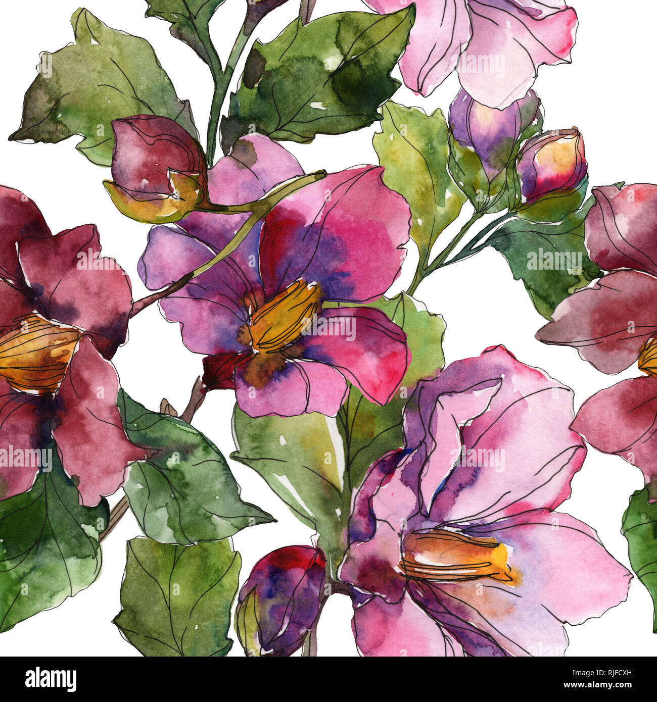 Red purple camelia botanical flower. Wild spring leaf isolated ...