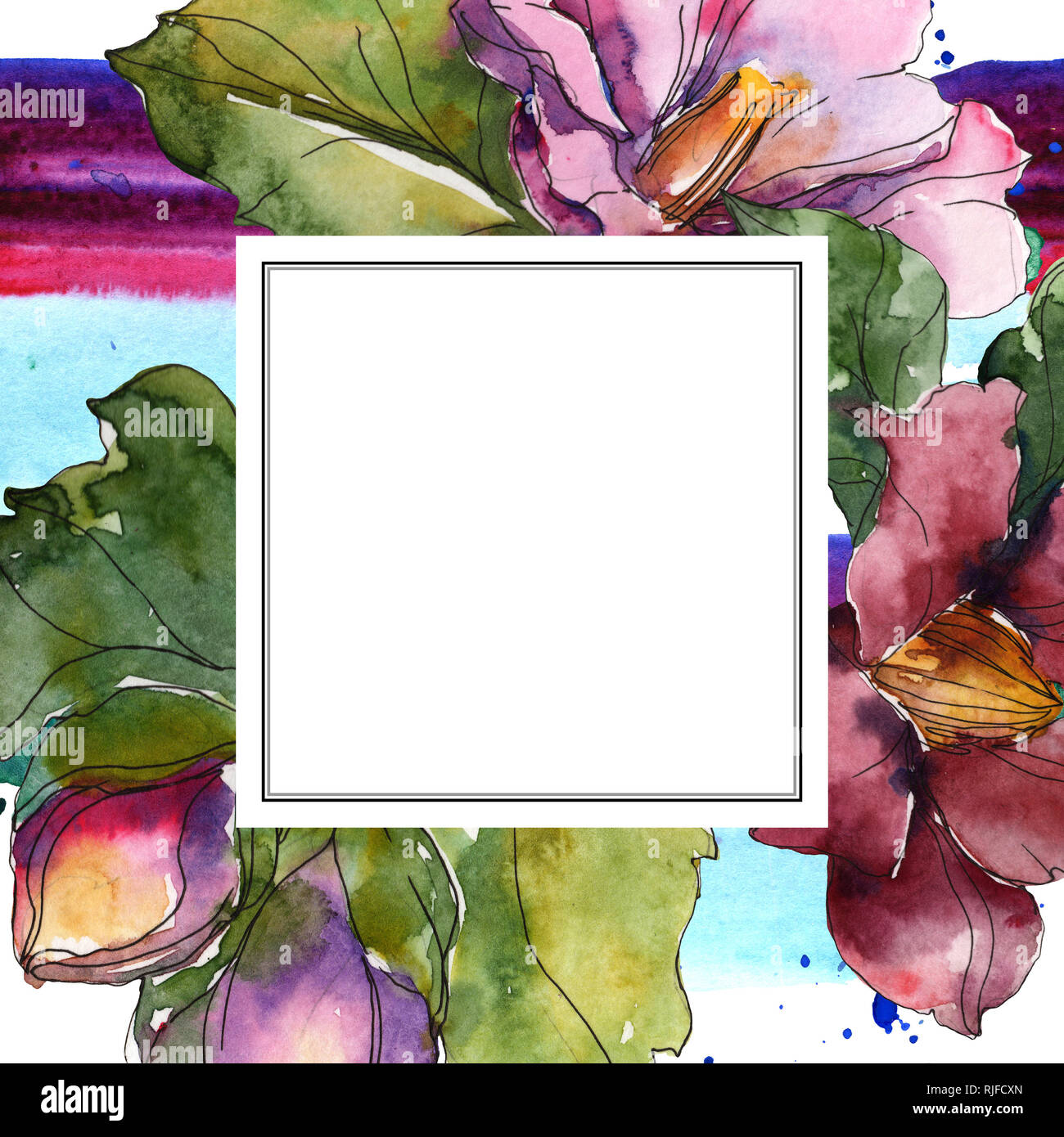 Red purple camelia floral botanical flower. Wild spring leaf wildflower ...