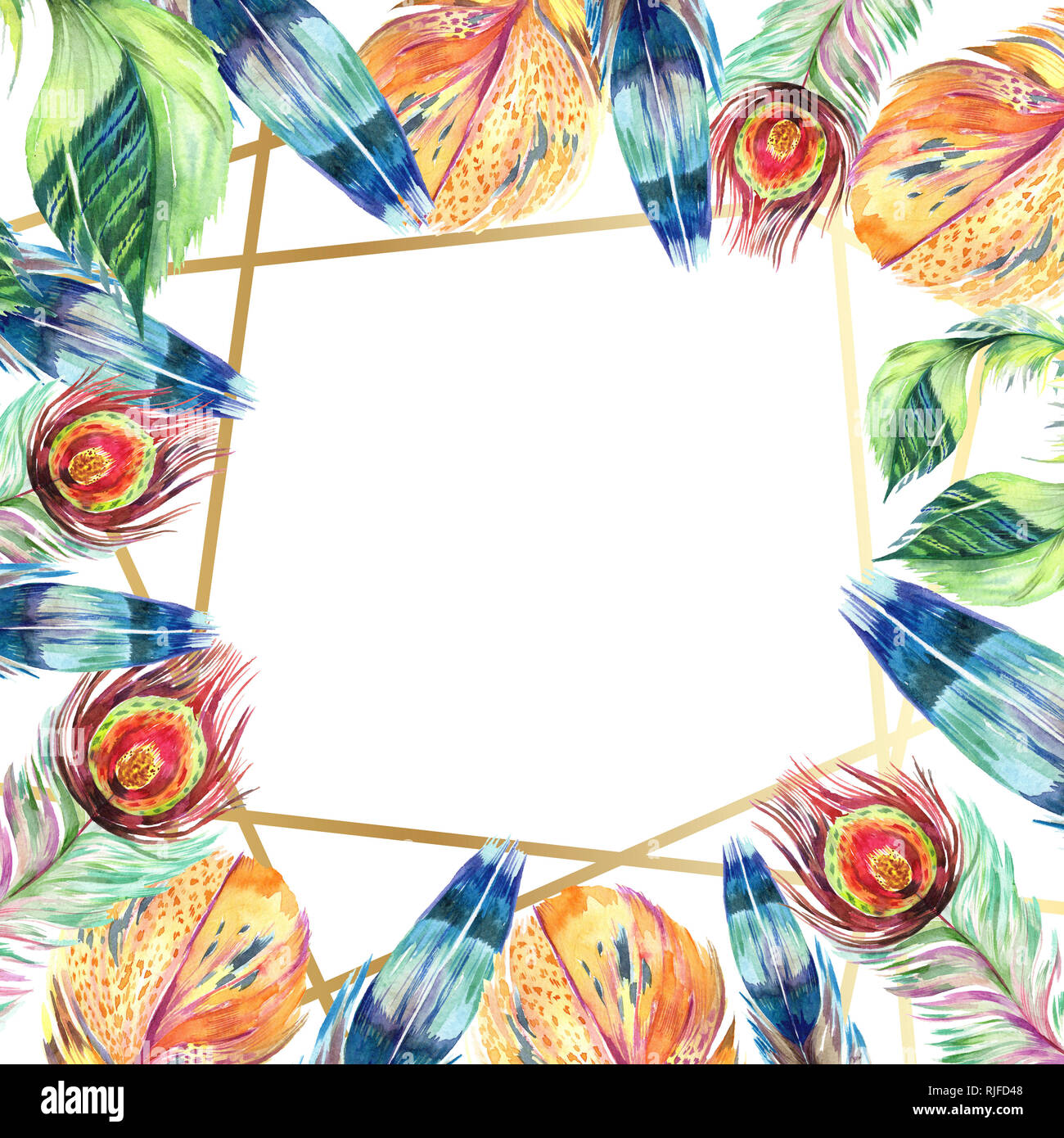 Colorful bird feather from wing isolated. Aquarelle feather for frame ...