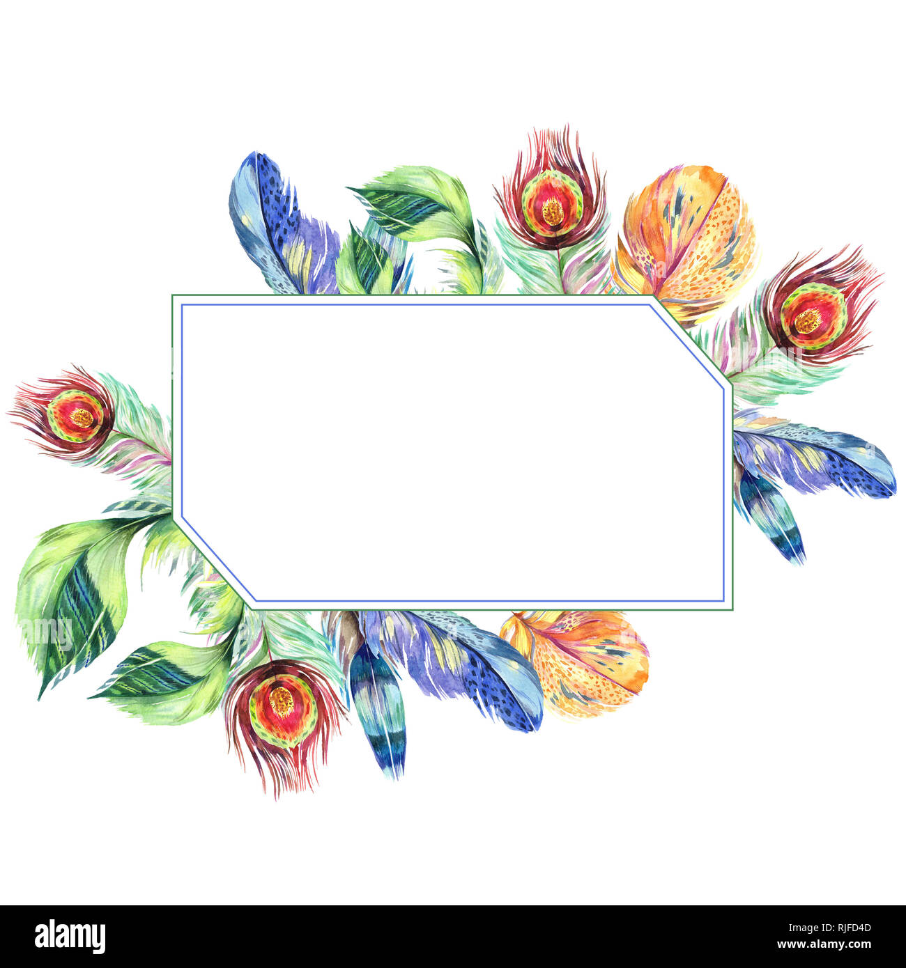 Colorful bird feather from wing isolated. Aquarelle feather for frame ...