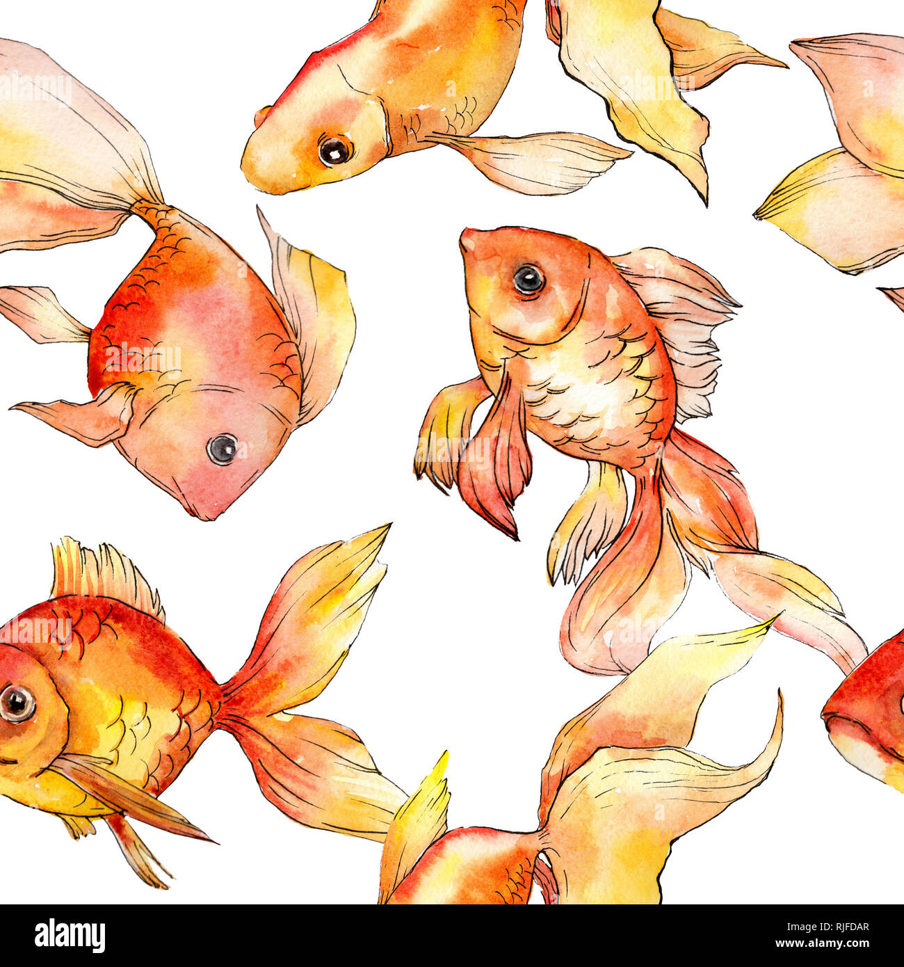Watercolor Fish Illustration High Resolution Stock Photography and ...
