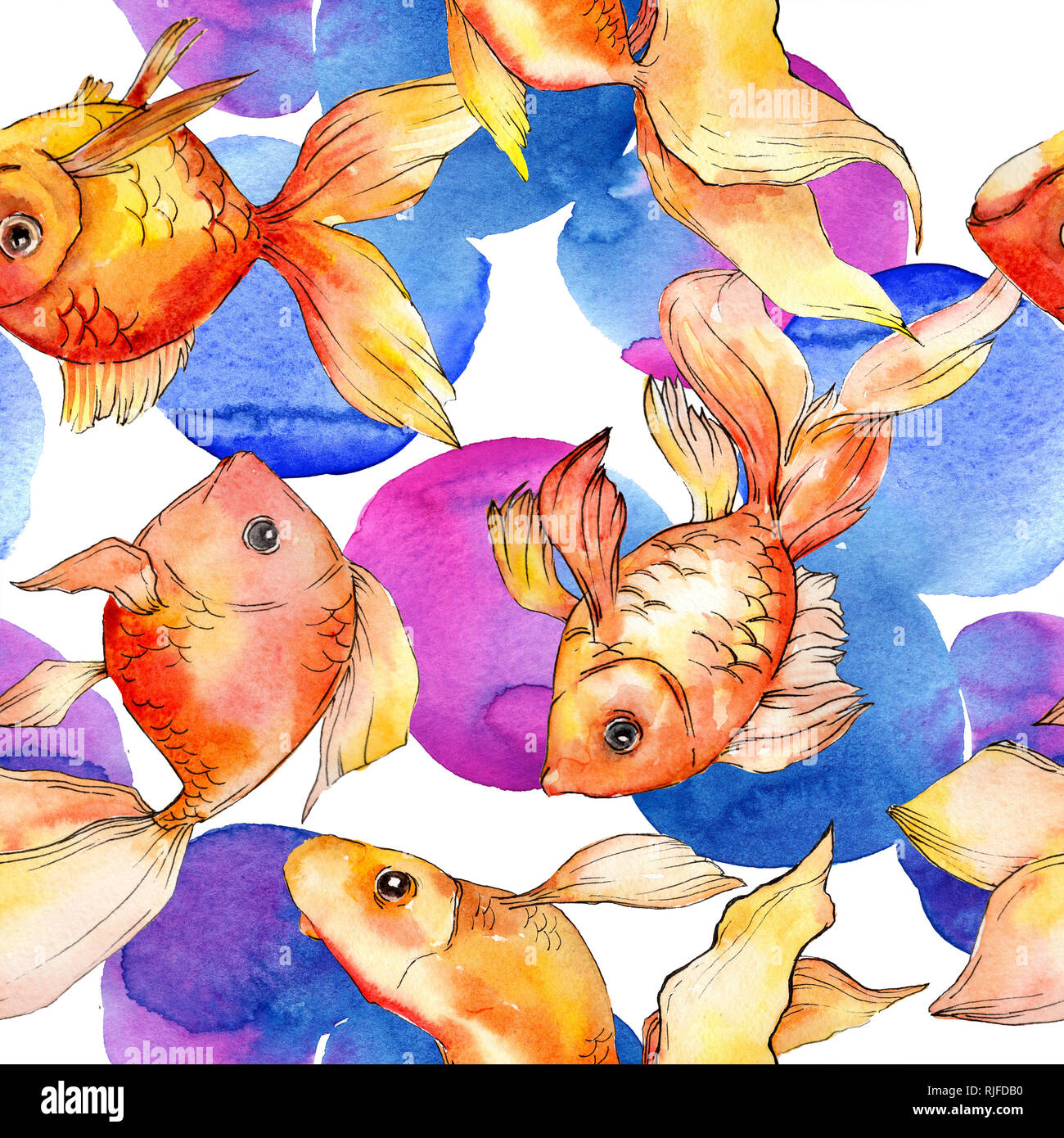 Watercolor Fish Illustration High Resolution Stock Photography and ...