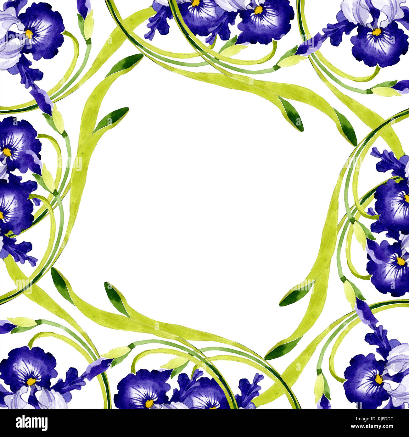 Blue iris floral botanical flower. Wild spring leaf wildflower isolated ...