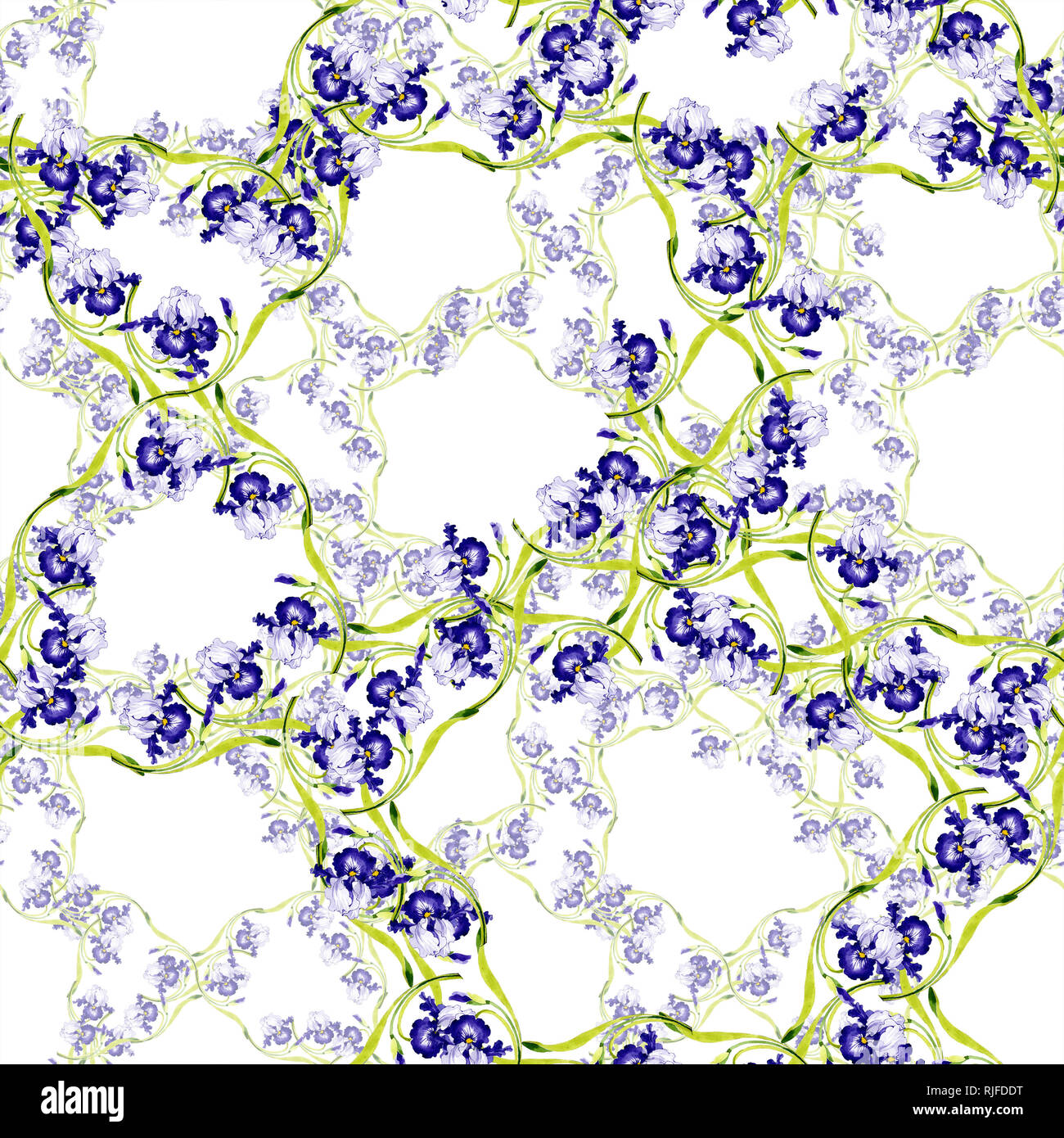 Blue iris floral botanical flower. Wild spring leaf isolated ...