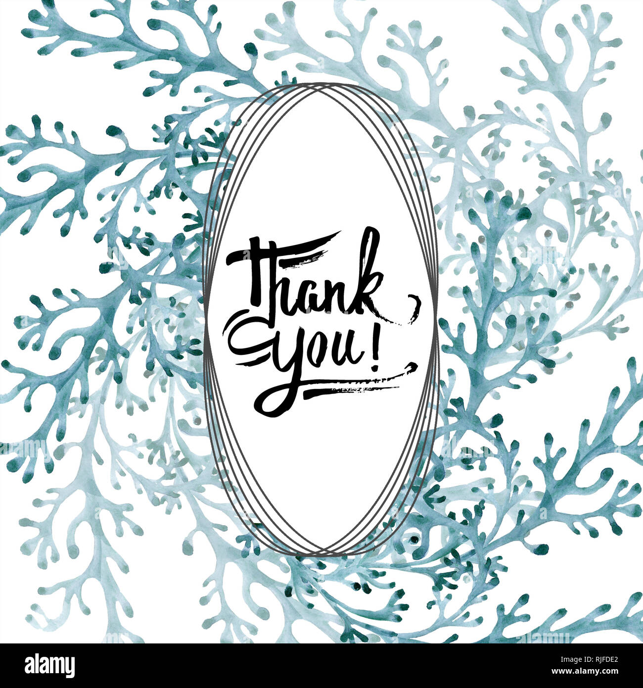 Blue iris floral botanical flower. Wild spring leaf wildflower isolated ...