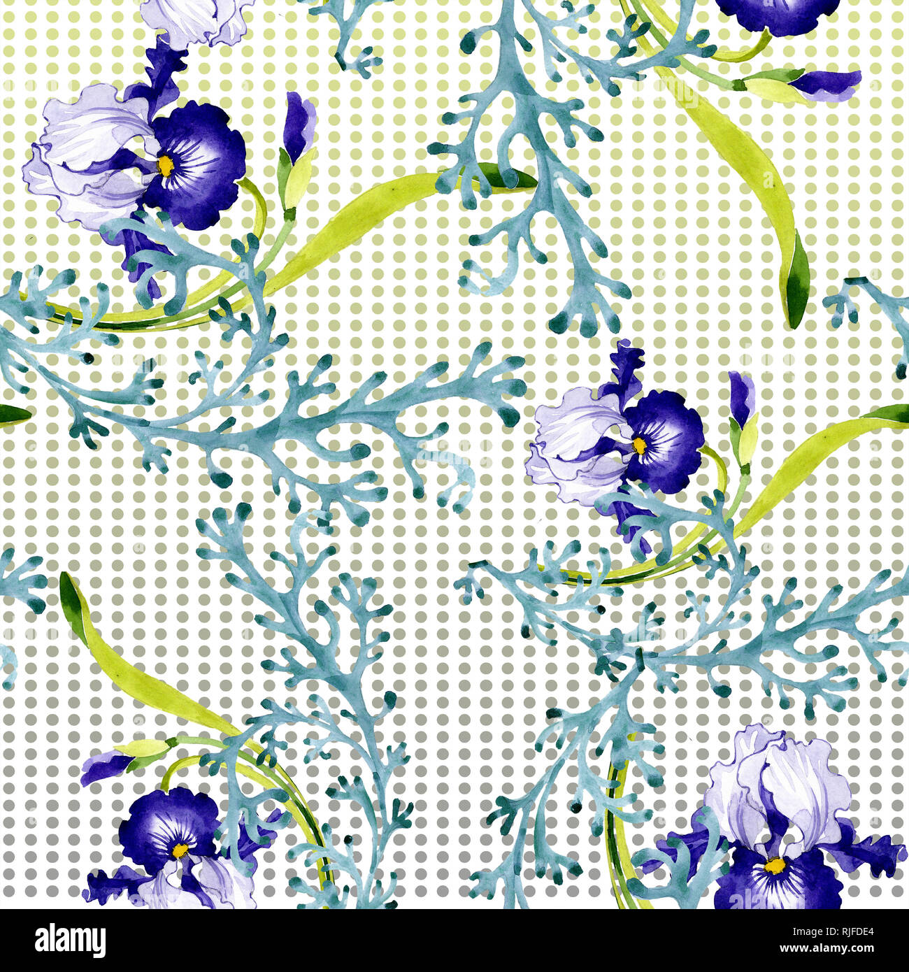 Blue iris floral botanical flower. Wild spring leaf isolated ...