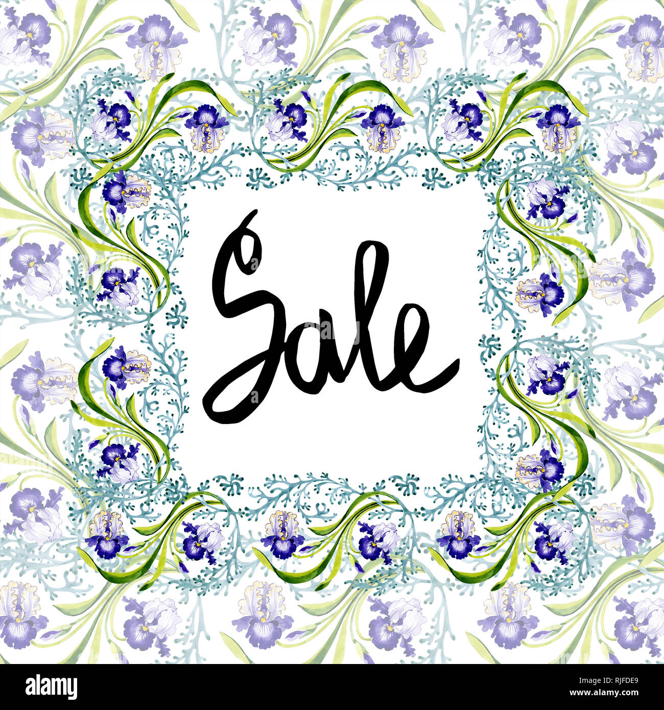 Blue iris floral botanical flower. Wild spring leaf wildflower isolated ...