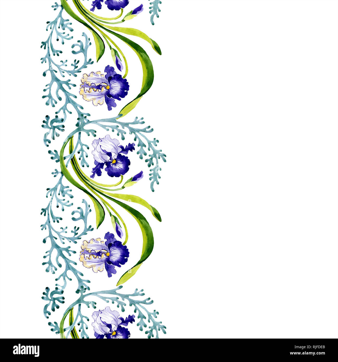 Blue iris floral botanical flower. Wild spring leaf isolated ...