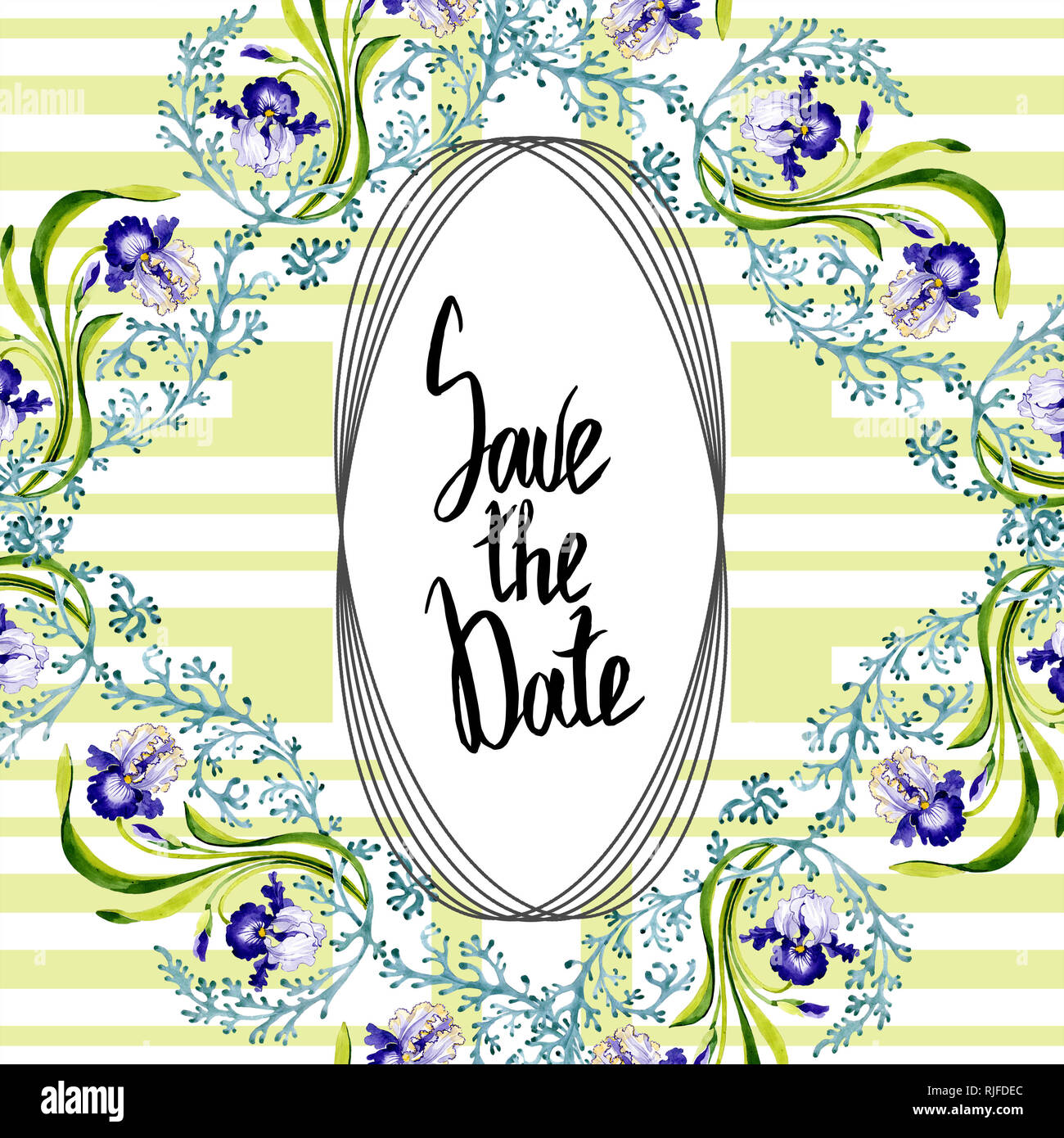 Blue iris floral botanical flower. Wild spring leaf wildflower isolated ...