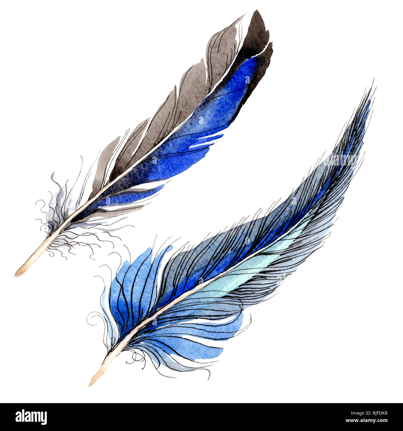 Feathers Drawing Background