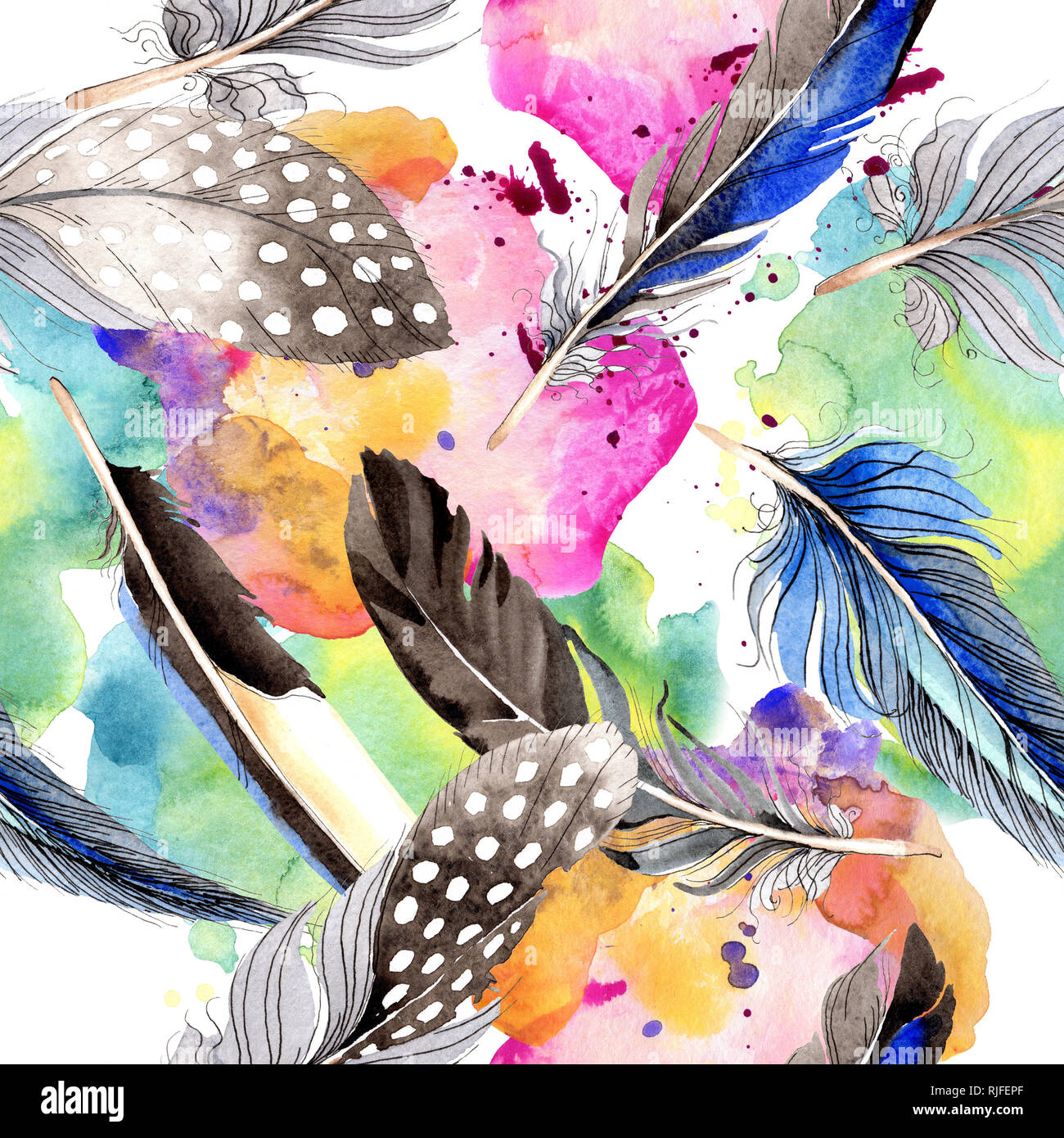 Bird feather from wing isolated. Watercolor background illustration set ...